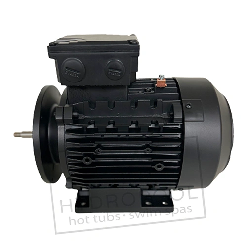 "6505162 - Motor for EX VSP Pump